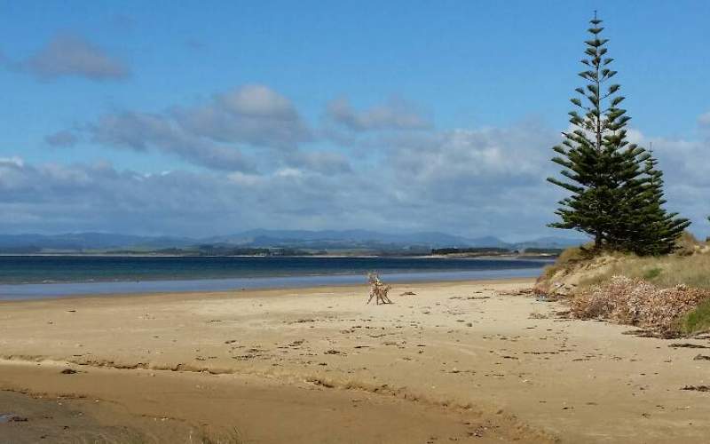 Tokerau Beach Motor Camp | Full Service Camp | New Zealand